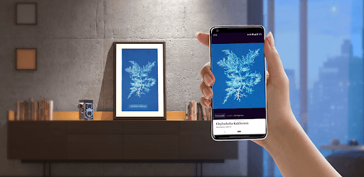 Meural for PC - How to Install on Windows PC, Mac