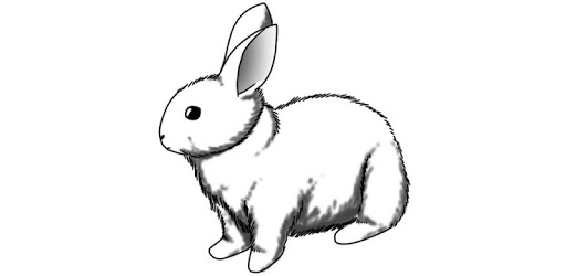How to Draw Rabbits for PC - How to Install on Windows PC, Mac