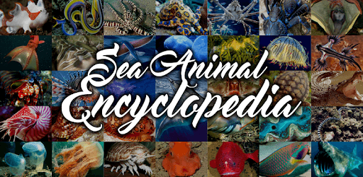 Sea Animal Encyclopedia for PC - How to Install on Windows PC, Mac